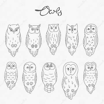 Set of Vector Owls, Line Art Stock Vector - Illustration of character ...
