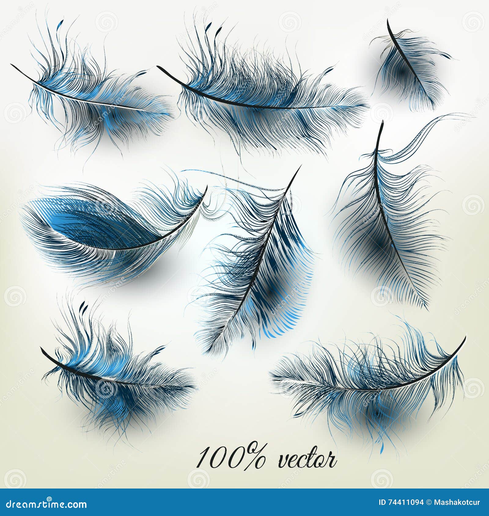 Set of Vector Realistic Blue Feathers Stock Vector - Illustration of ...