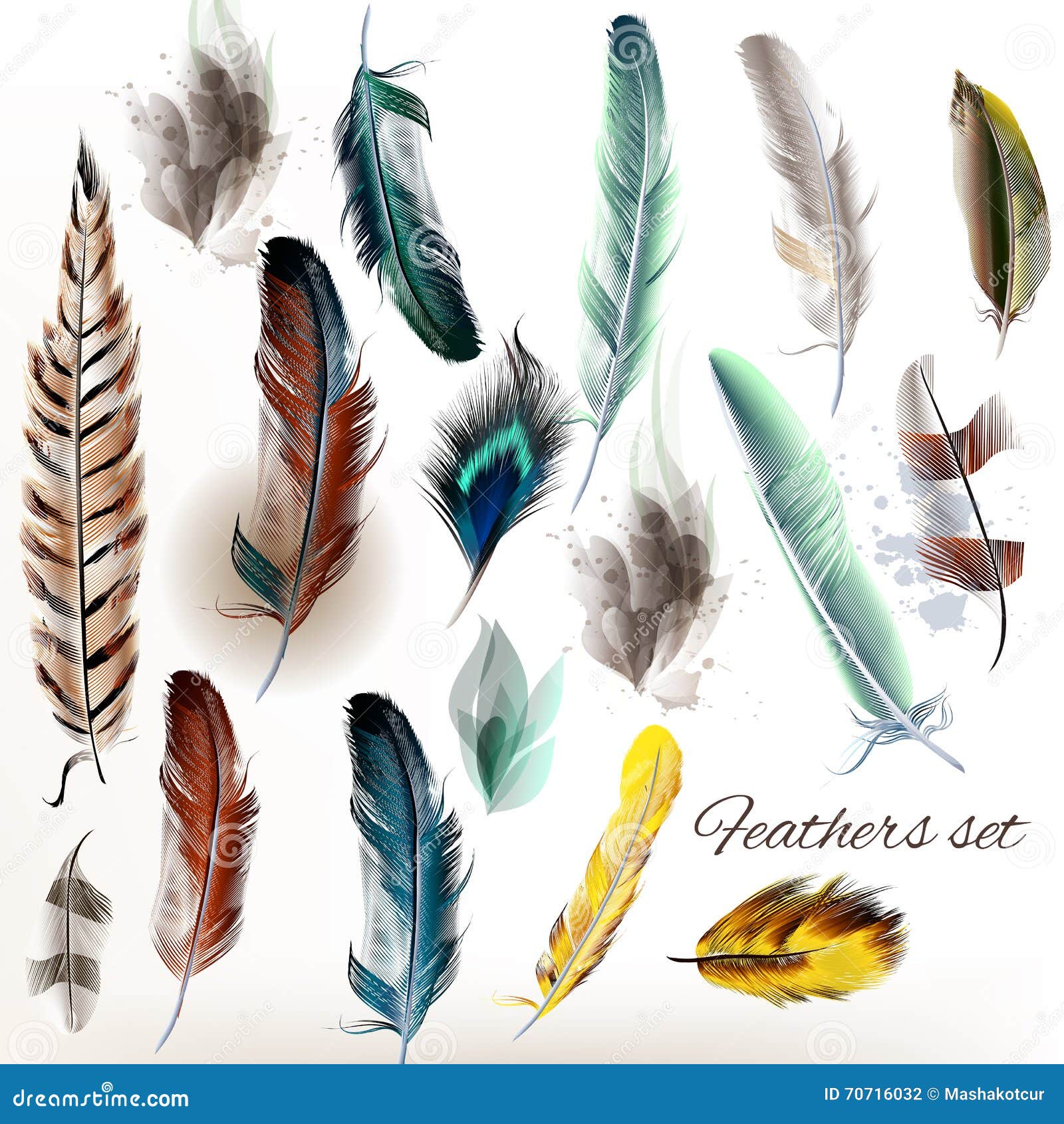 Set of Vector Realistic Colorful Feathers Stock Vector - Illustration ...