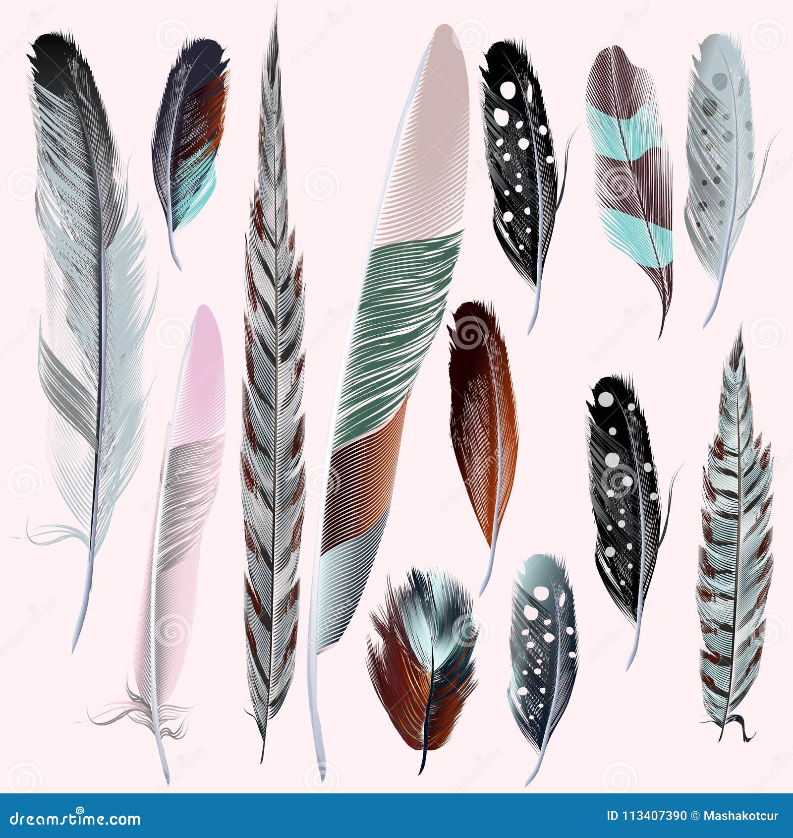Set Vector Realistic Feathers for Design Stock Vector - Illustration of ...