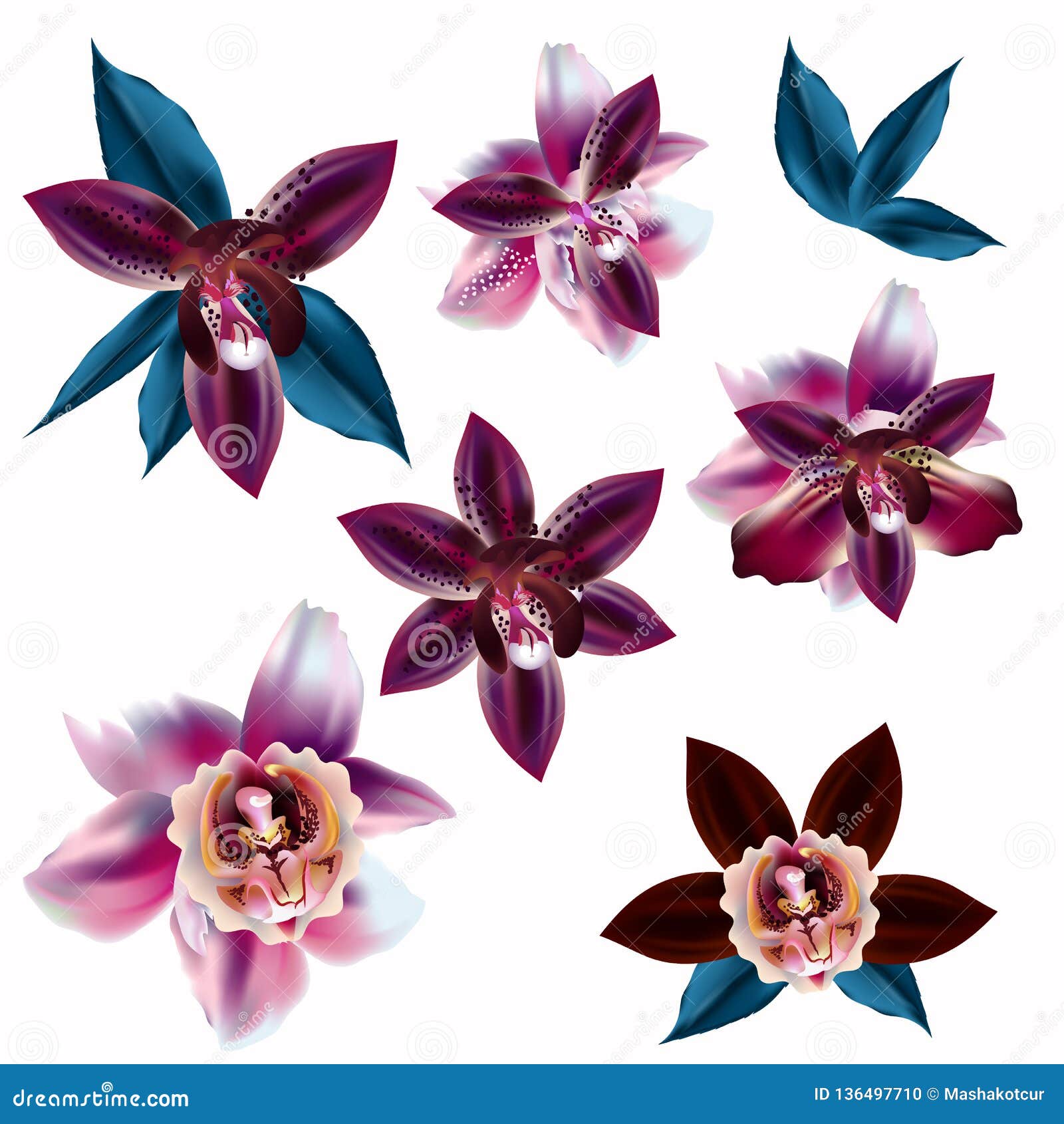 Set of Vector Realistic Flowers for Design Stock Vector - Illustration ...