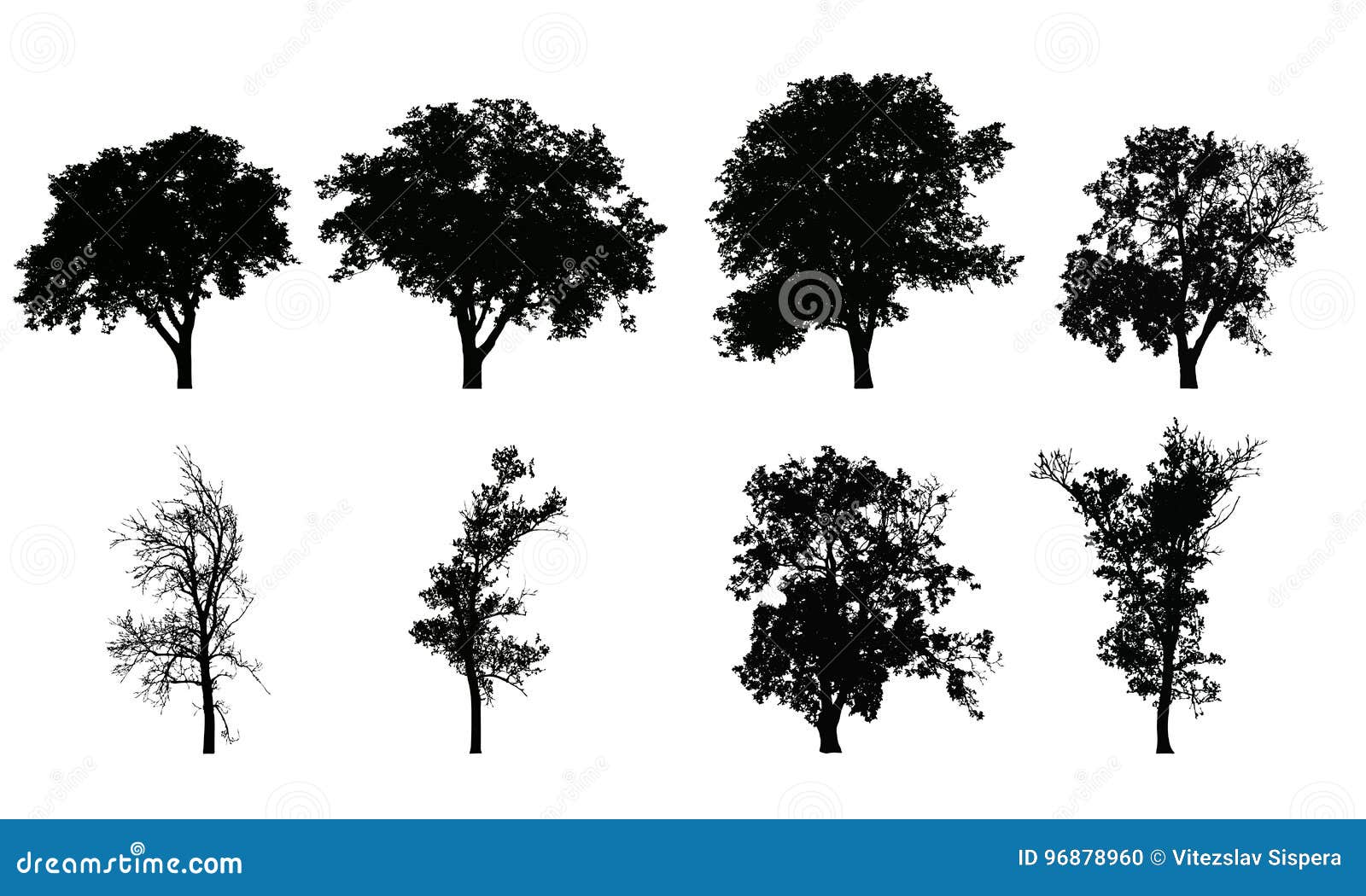 Set of Vector Realistic Silhouettes of Deciduous Trees Stock Vector ...