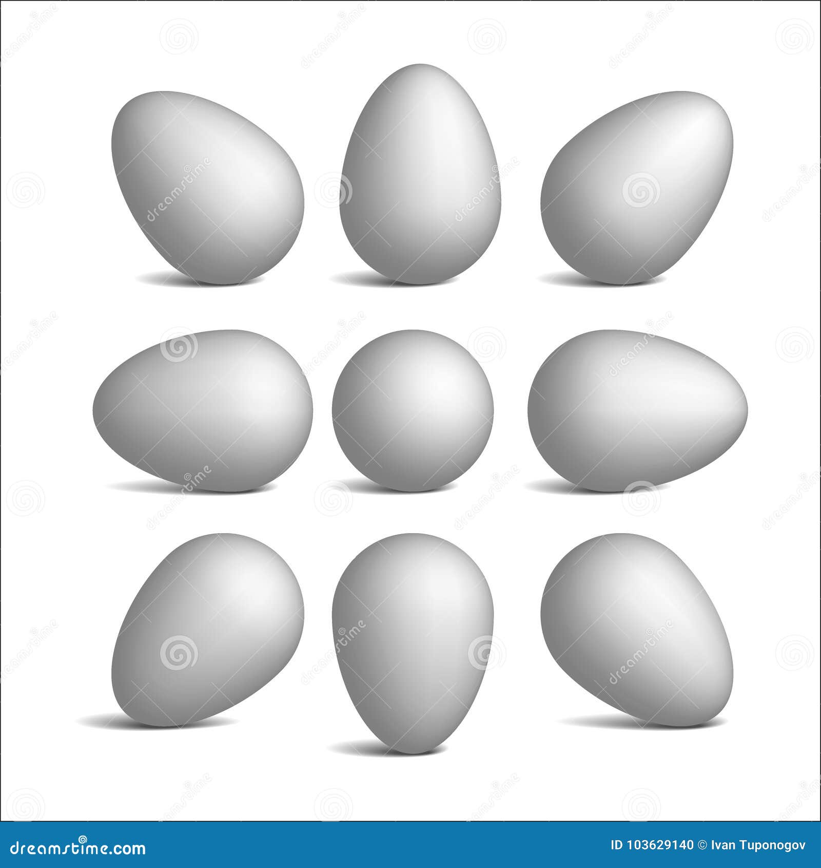 Set Vector Realistic White Eggs. Stock Vector - Illustration of yolk ...