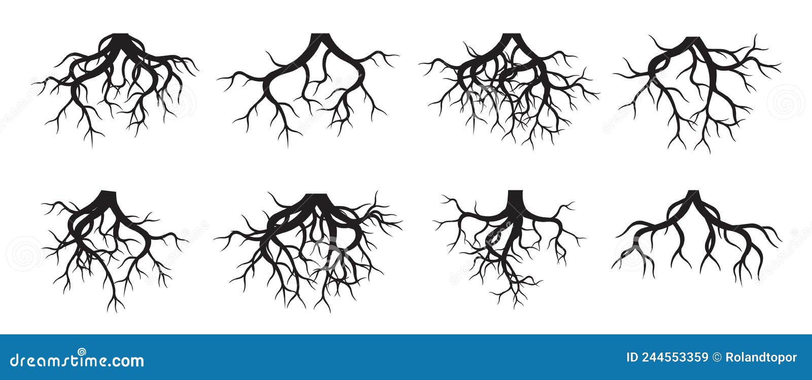 Set Vector Roots, Outline Decoration Elements. Stock Vector ...