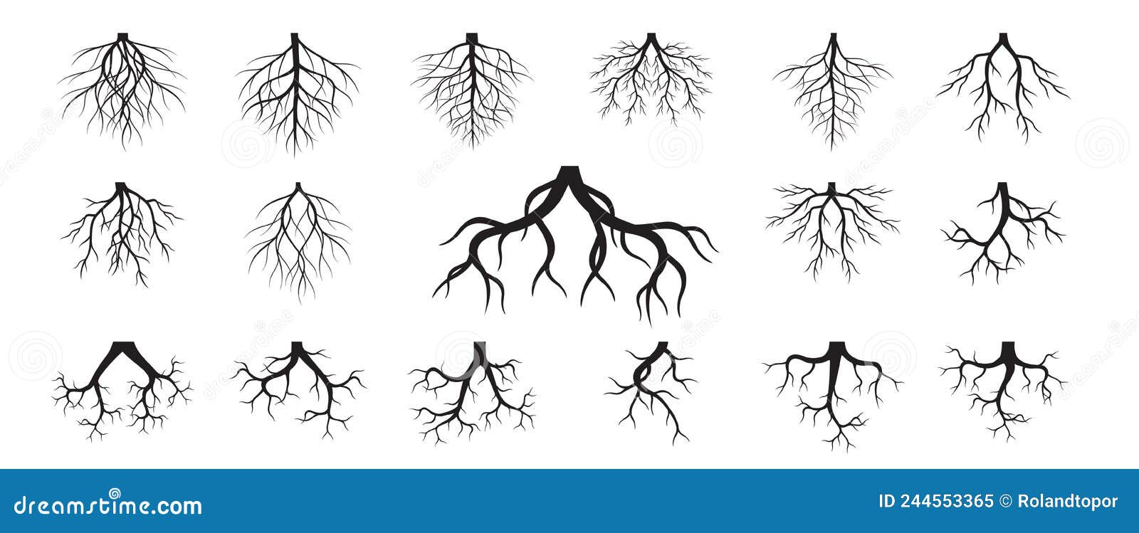 Set Vector Roots, Outline Decoration Elements. Stock Vector ...