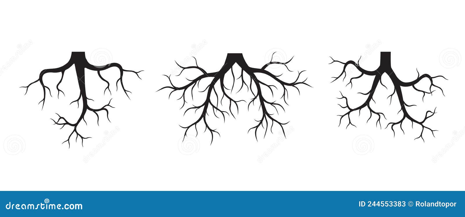 Set Vector Roots, Outline Decoration Elements. Stock Vector ...