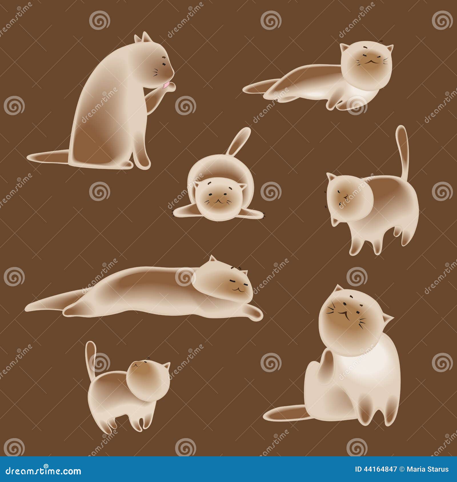 Siamese Cat Vector Set On White Background. Pet Character Animal ...
