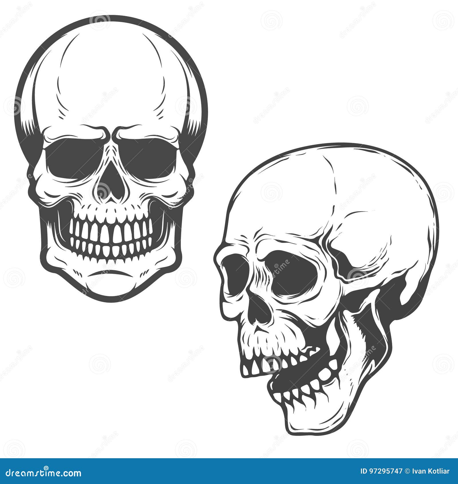 Set Of Skulls Isolated On White Background. Cartoon Human Skull With ...