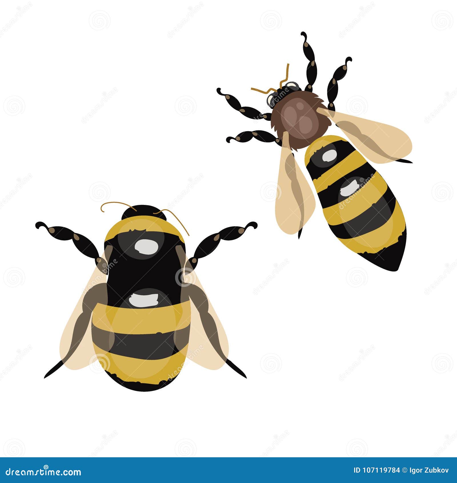 Set of Vector Stylized Bees. Collection of Logos with Stock Vector ...