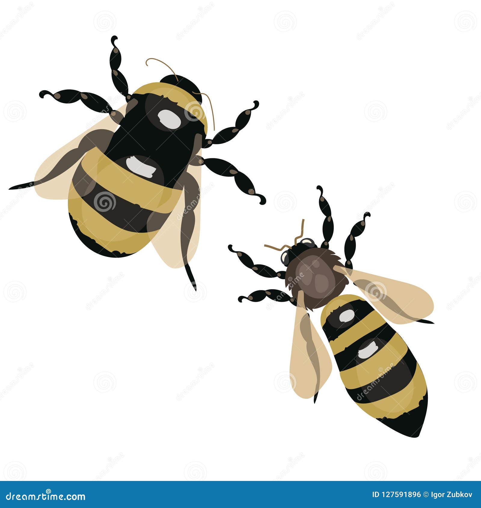 Stylized Bees, Wasps And Butterflies Vector Illustration ...