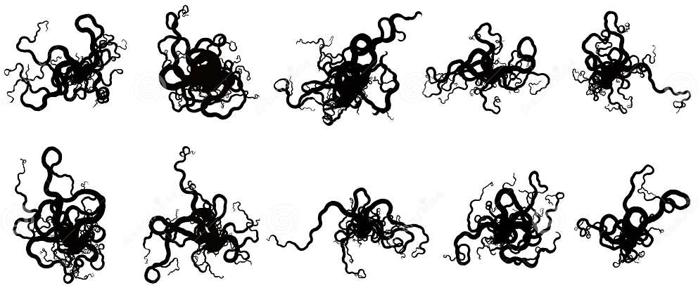 Set of Vector Tangle of Tentacles - Vector Design of Decorative Plexus ...