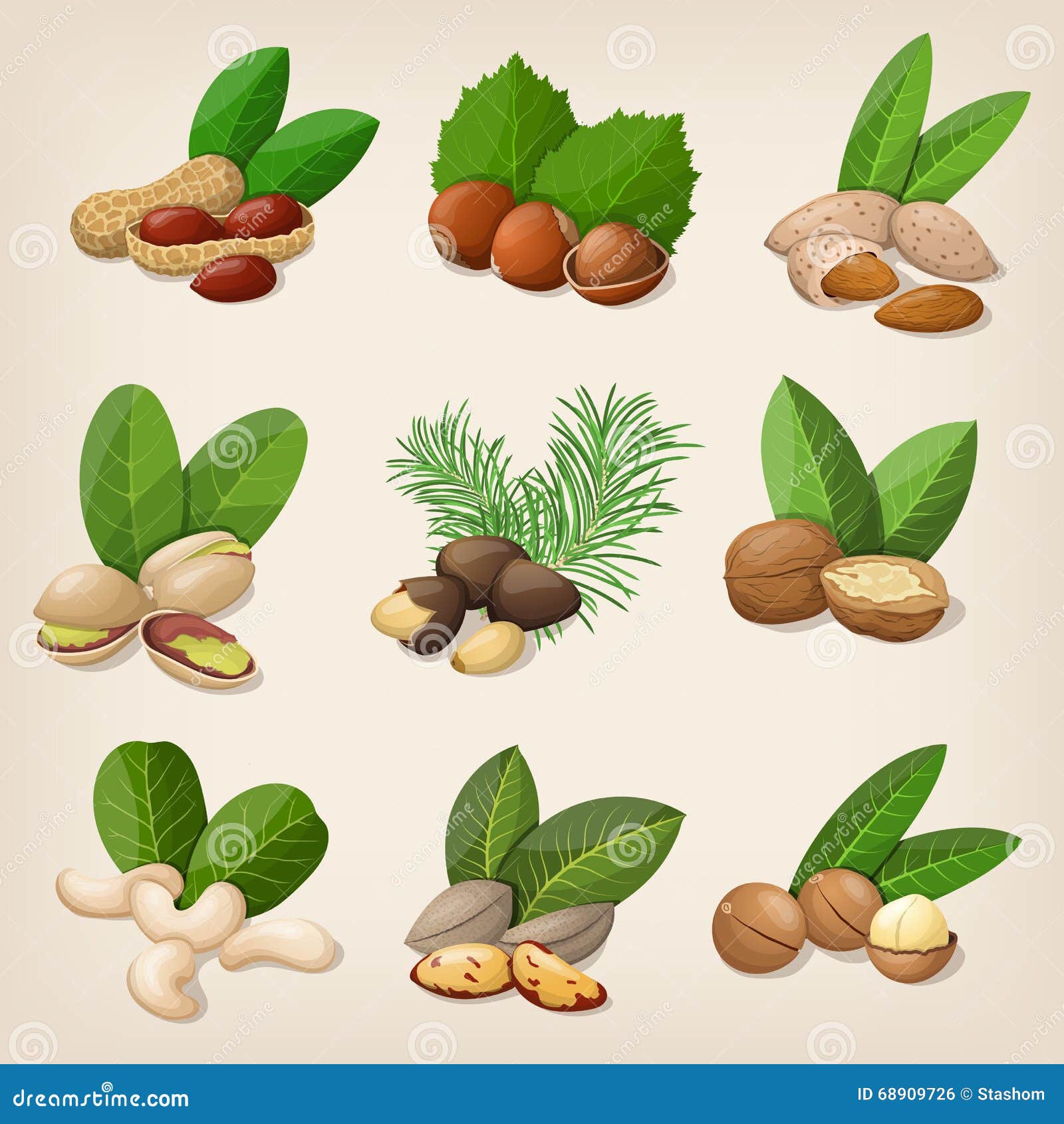 Set of Vector Various Nuts. Vector Illustration Stock Vector ...