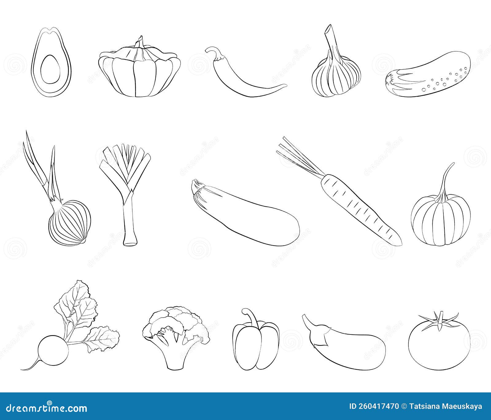 A Set of Vector Vegetables with a Thin Line Stock Vector - Illustration ... A Set of Vector Vegetables with a Thin Line Stock Vector - Illustration ...
