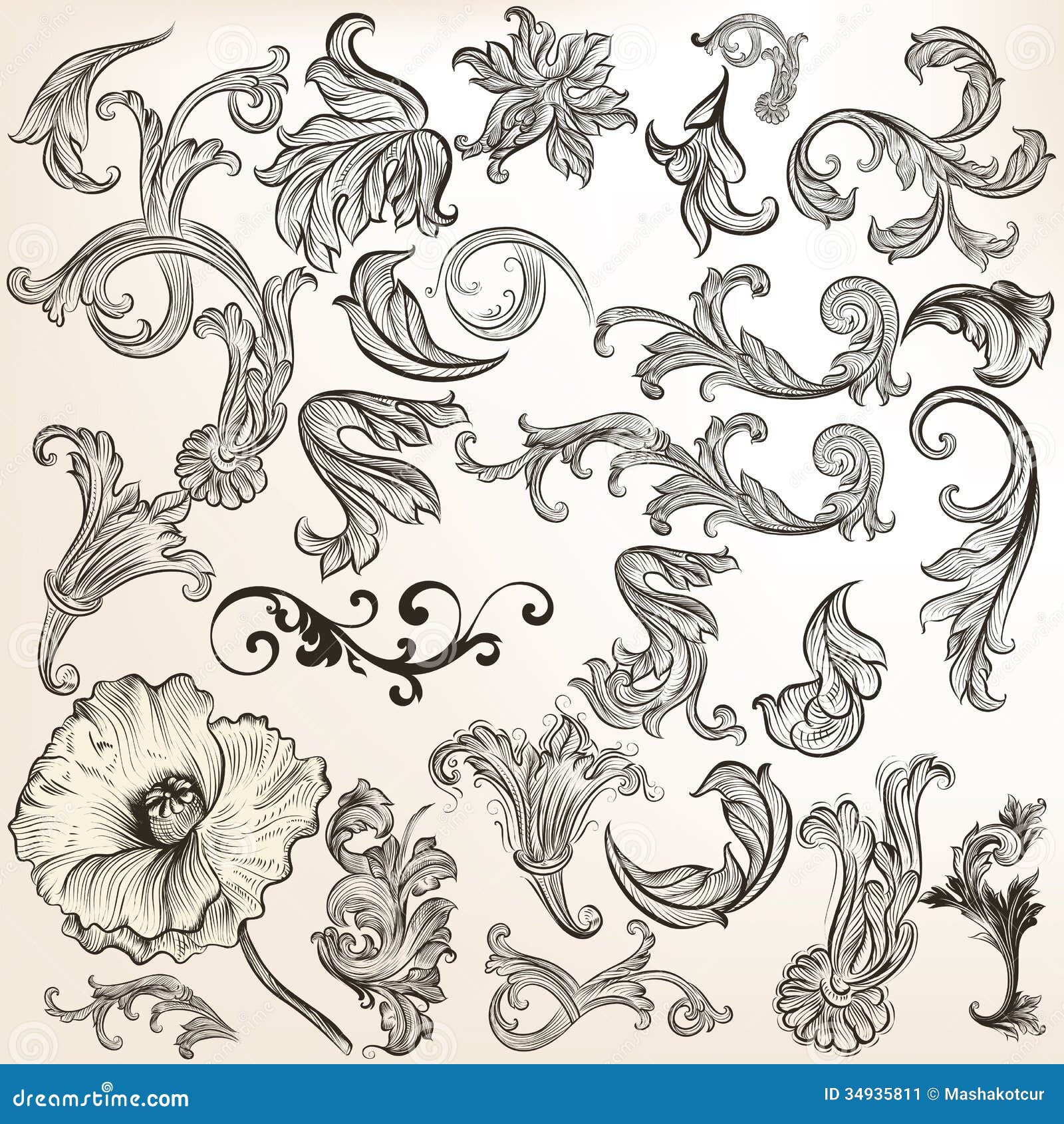 Set of Vector Vintage Swirls for Design Stock Vector - Illustration of ...