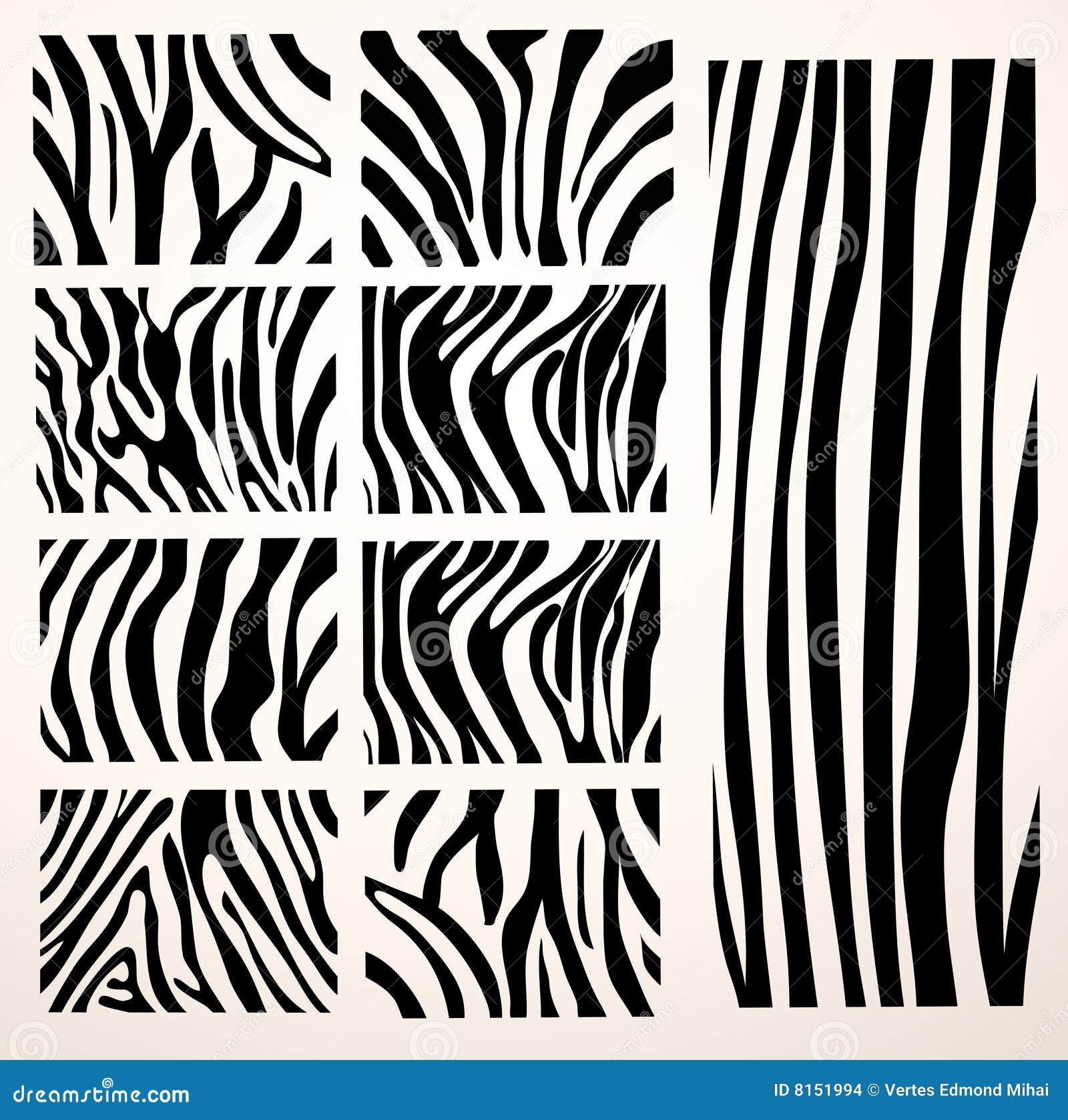 Set of Vector Zebra Texture Stock Vector - Illustration of black ...