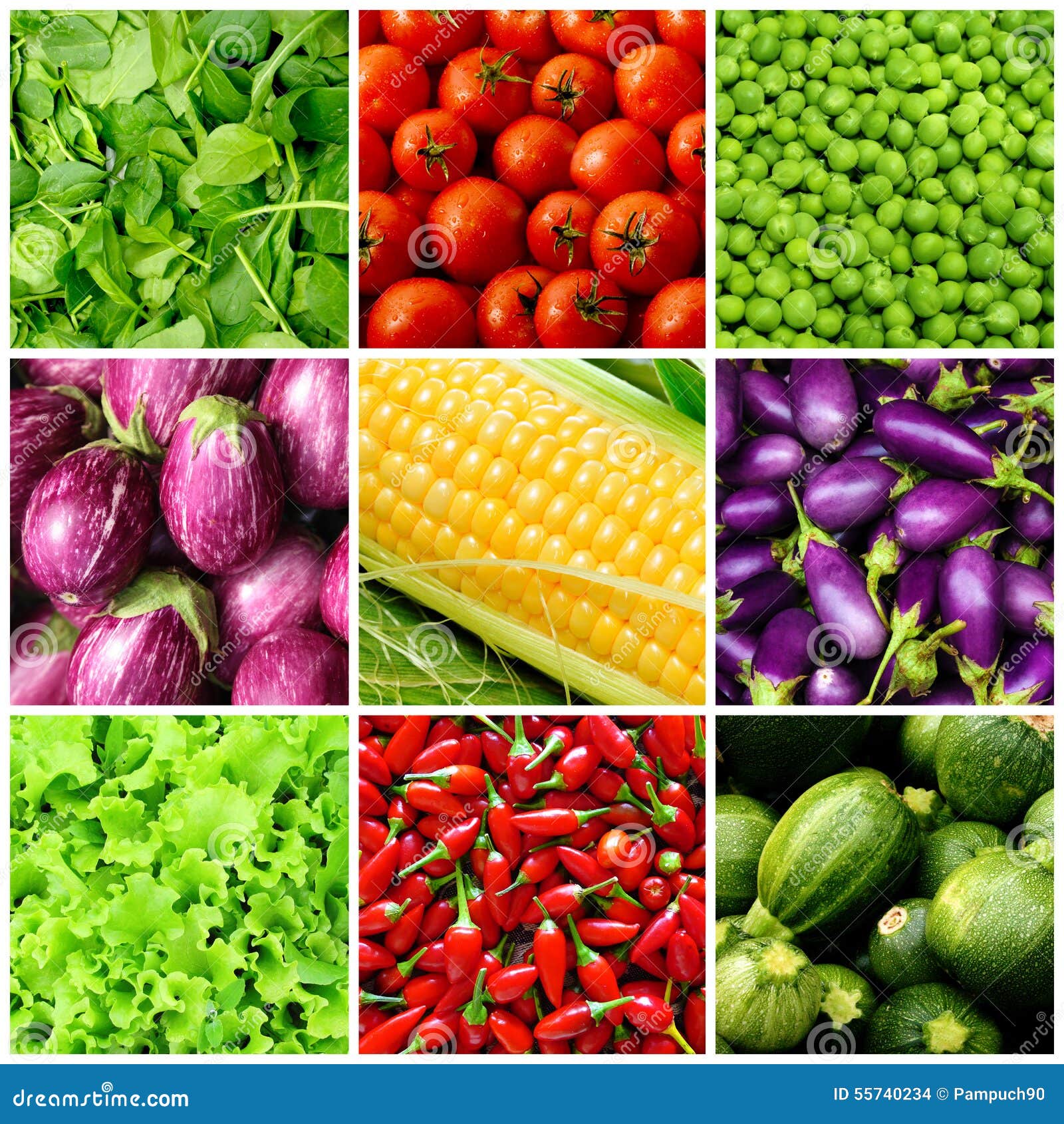 Set of Vegetable Backgrounds Stock Photo - Image of corn, natural: 55740234