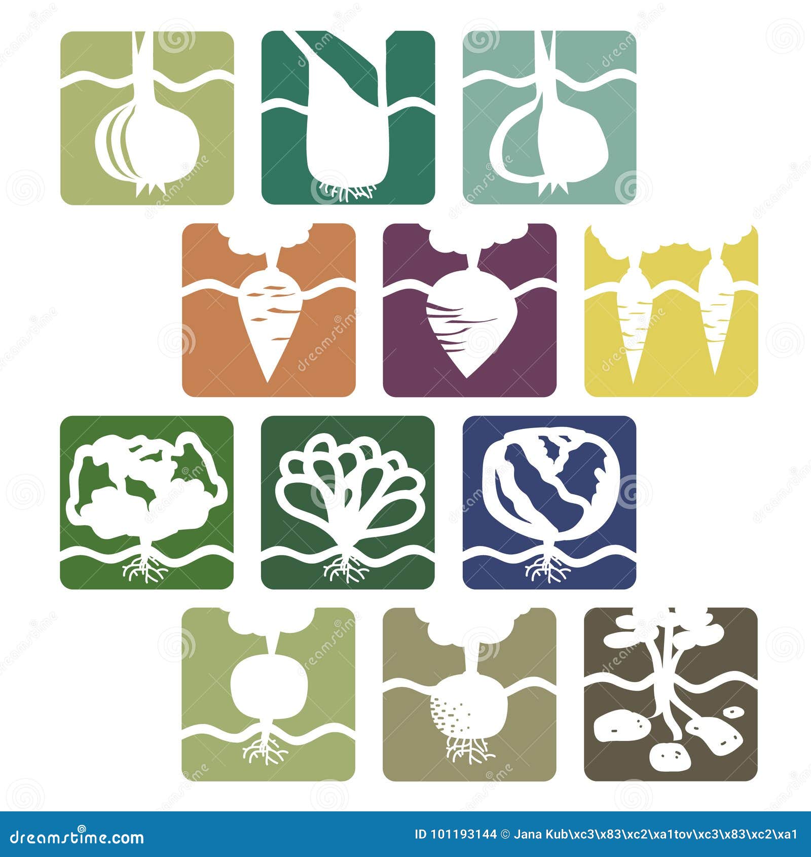 Set of vegetable signs stock vector. Illustration of radish - 101193144