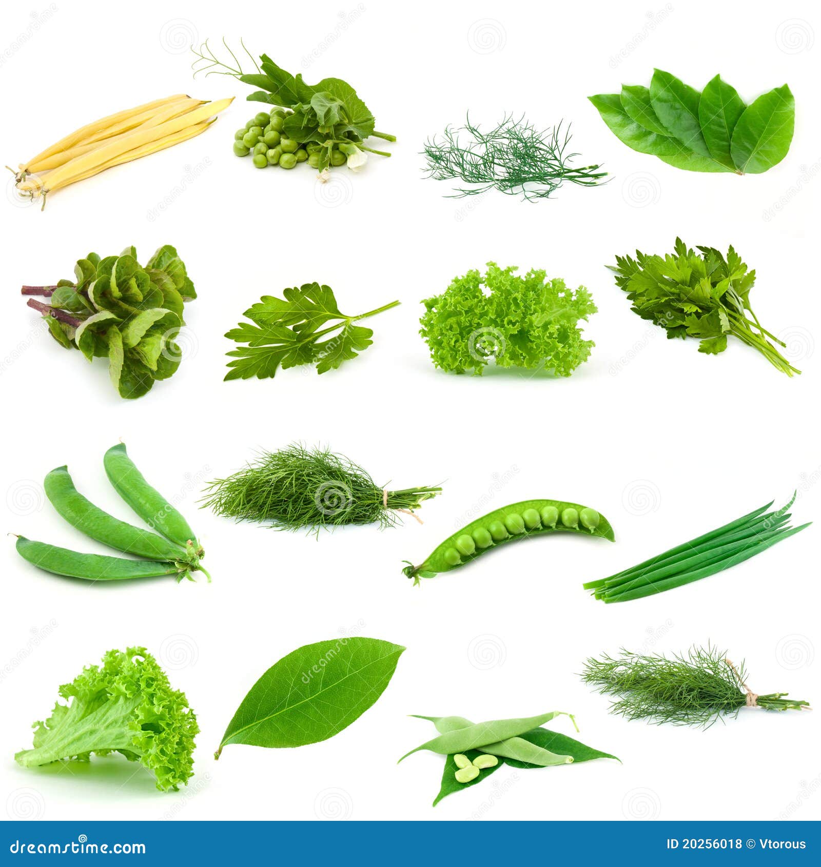 Set of vegetables stock photo. Image of vegetables, ingredient - 20256018