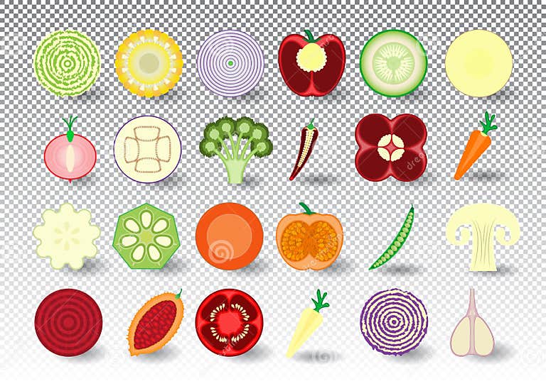 Set Vegetables. Colorful Vegetables Cut in Half, Isolated Stock Vector ...