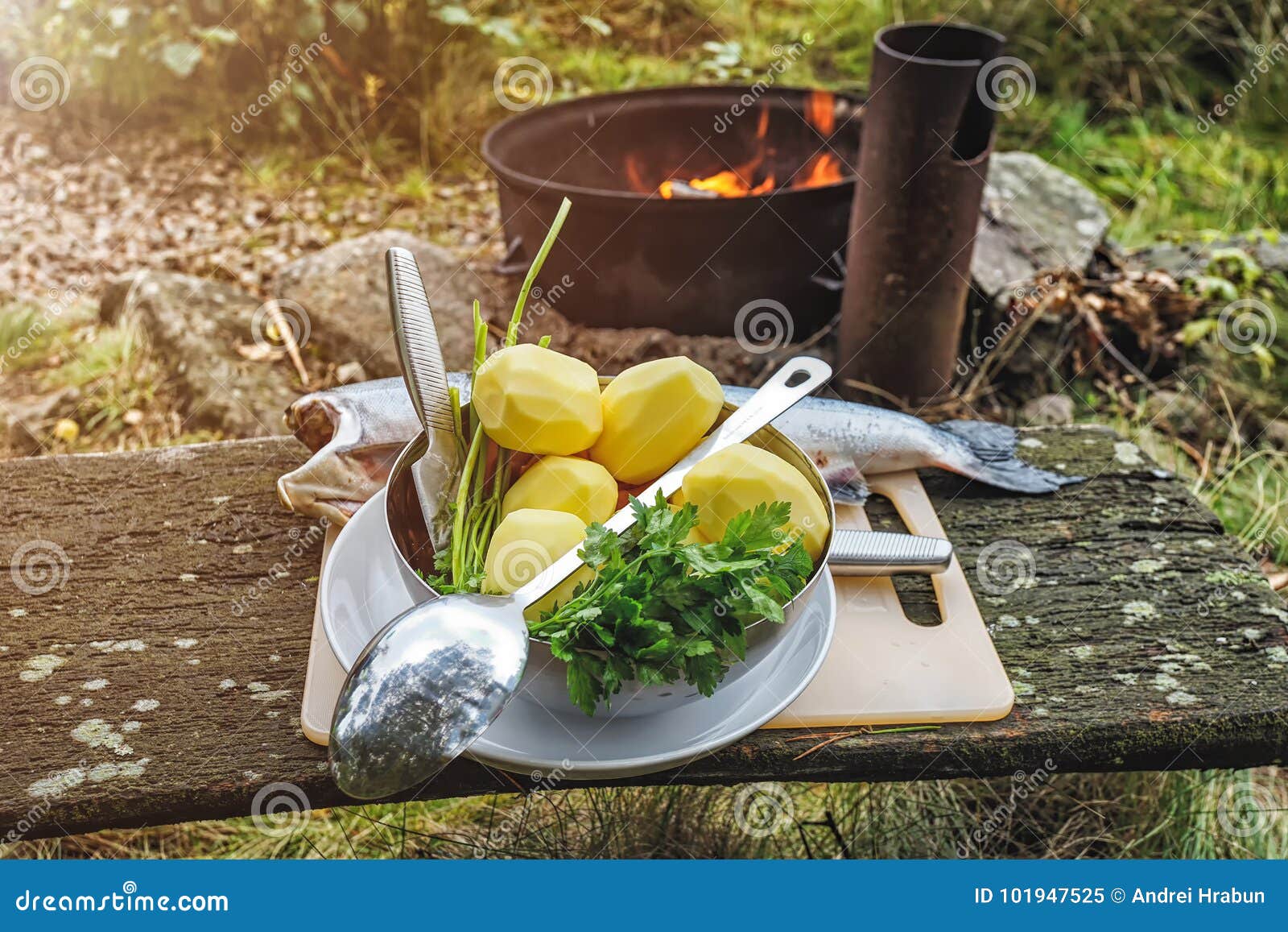 Set of Vegetables and Fish Outdoors in the Forest, Preparing To Cook on ...