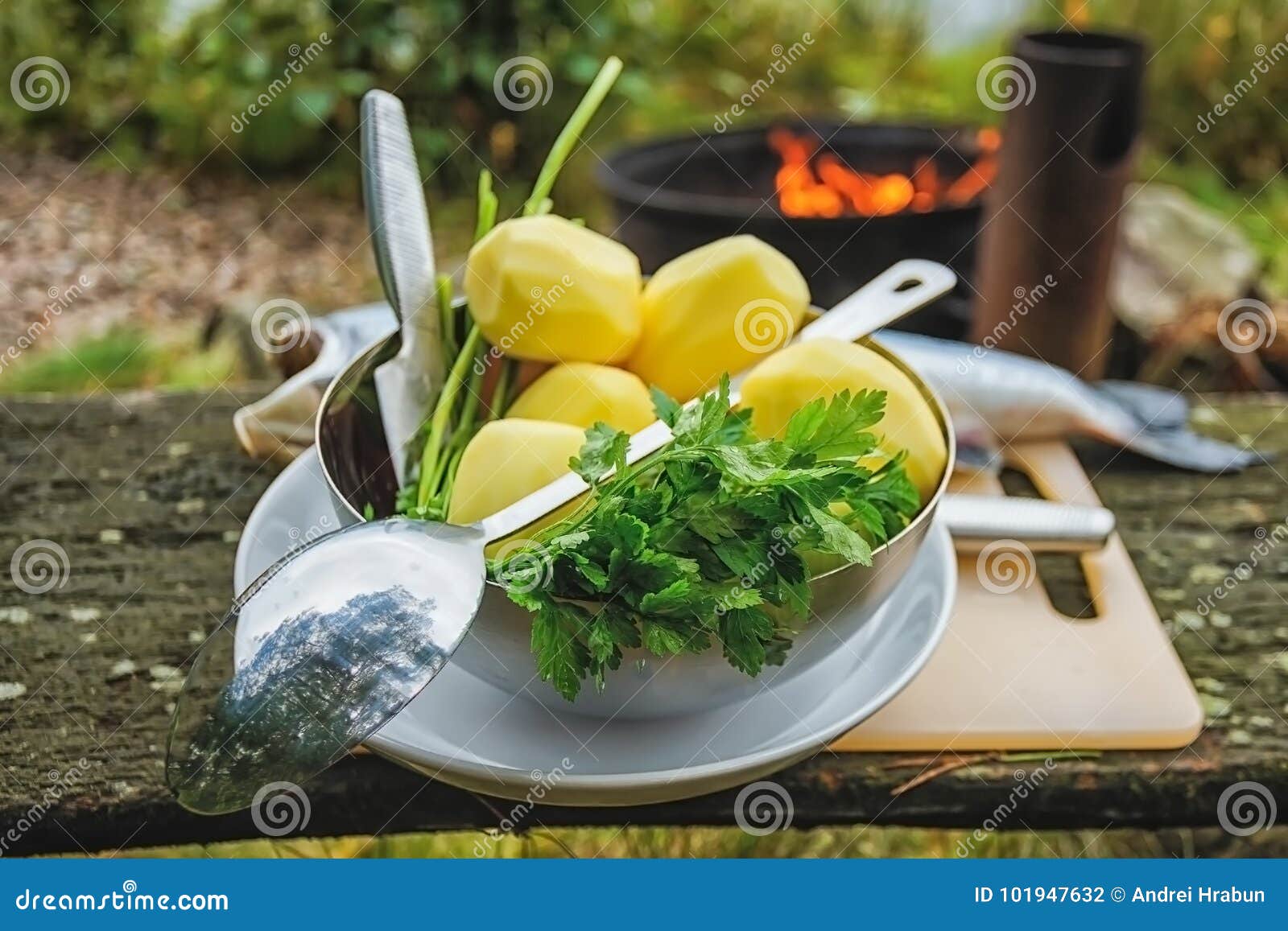 Set of Vegetables and Fish Outdoors in the Forest, Preparing To Cook on ...