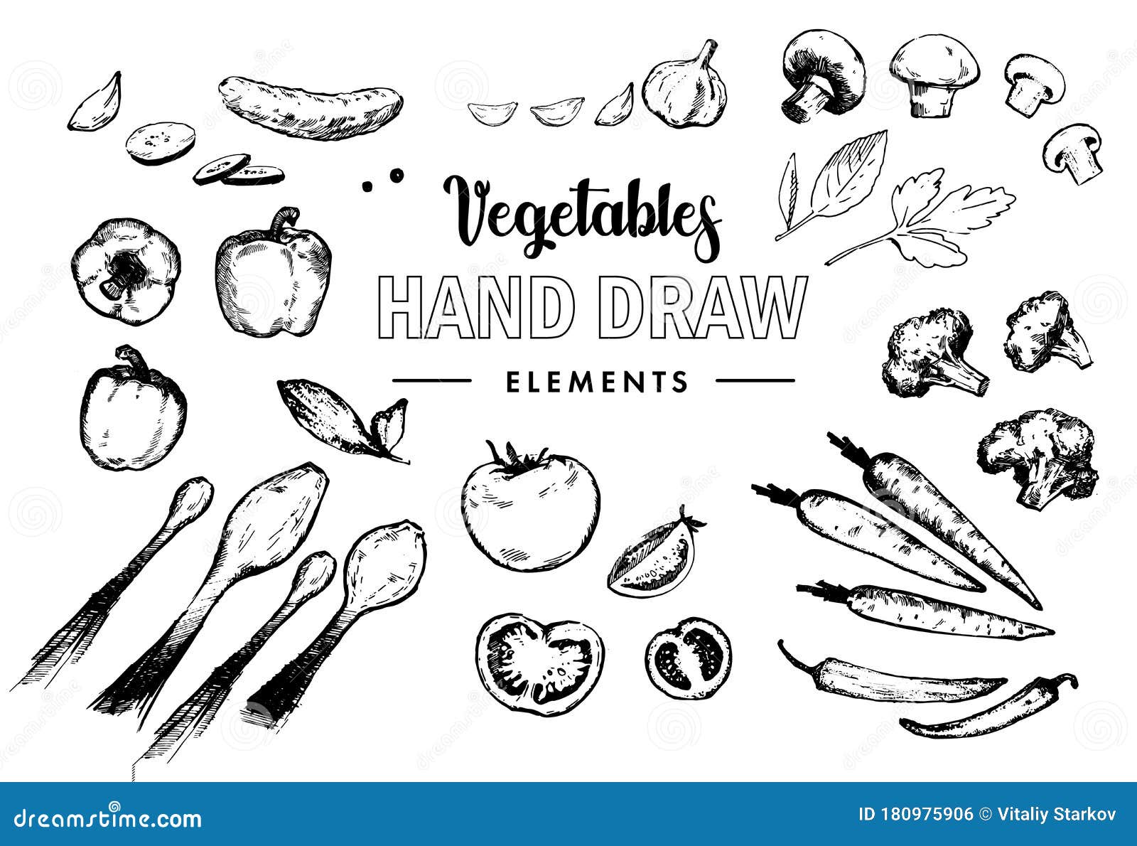 Set of Vegetables Hand Draw Vector Illustration Stock Vector ...