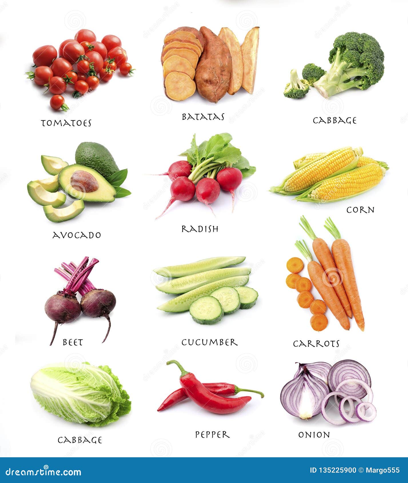 Set of vegetables. stock photo. Image of green, white - 135225900