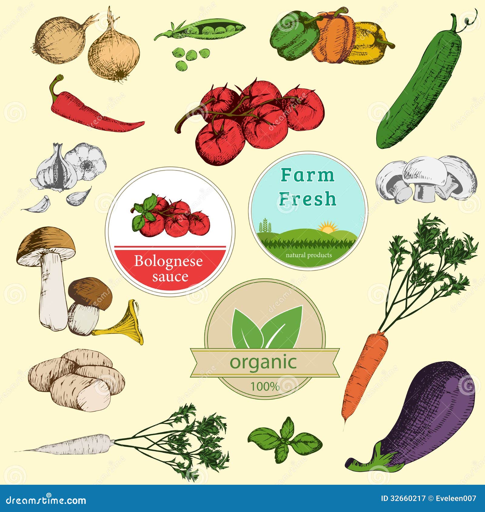 Set of Vegetables and Labels Stock Vector - Illustration of garlic ...