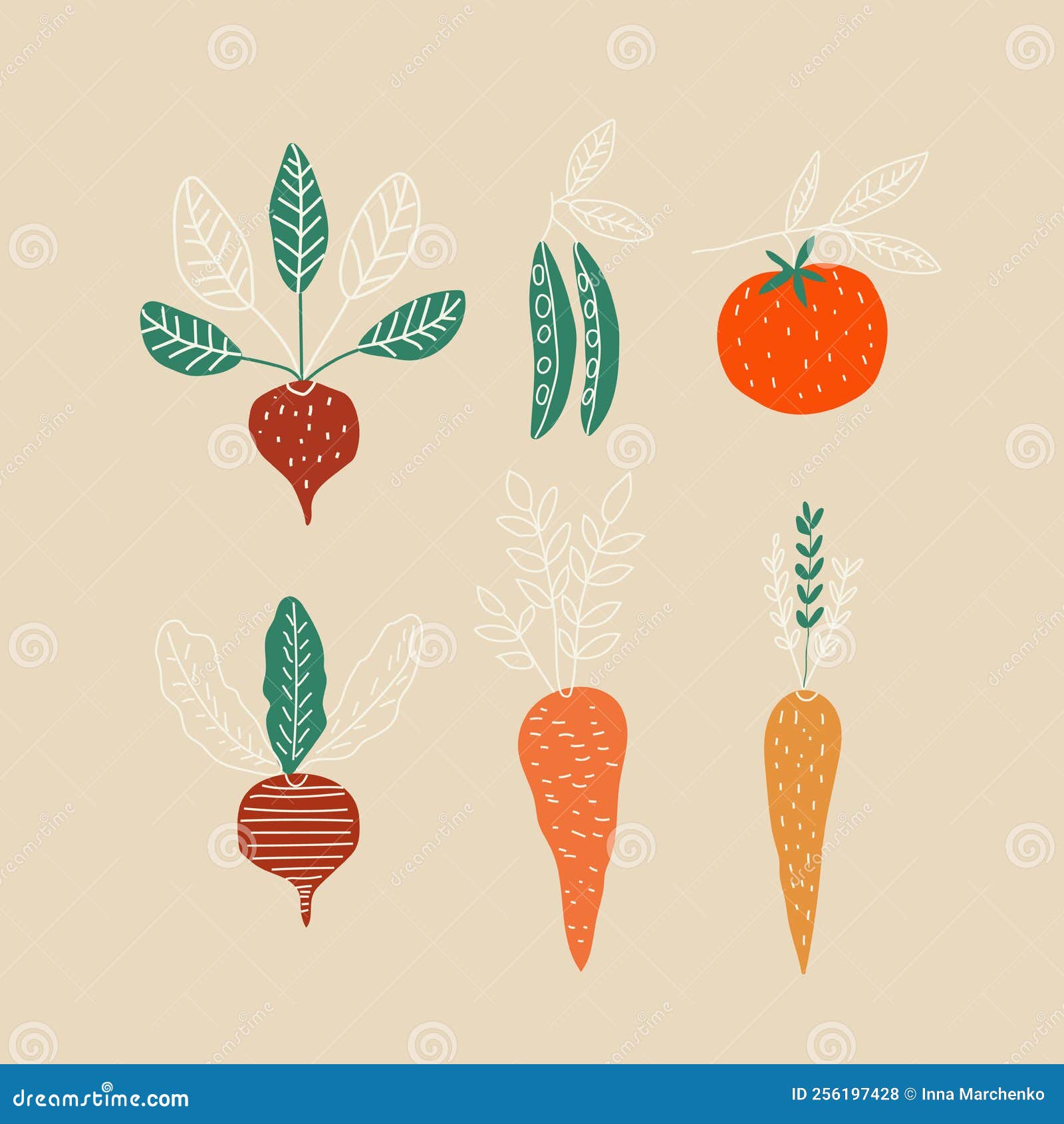 A Set of Vegetables. Vector in Cartoon Style Stock Vector ...