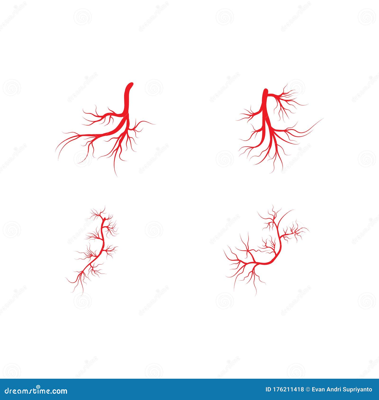 Set Veins Logo Template Vector Stock Vector - Illustration of shape ...