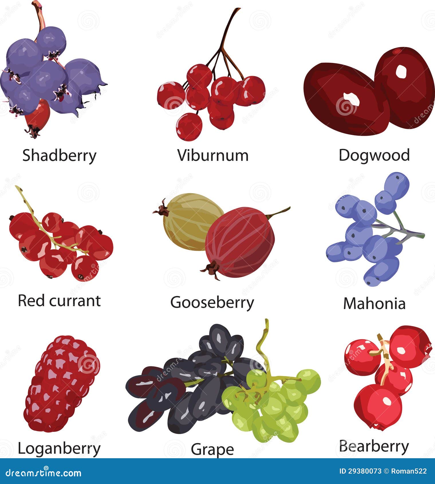 Set Verschiedene Beeren Stockfotos - Bild: 29380073