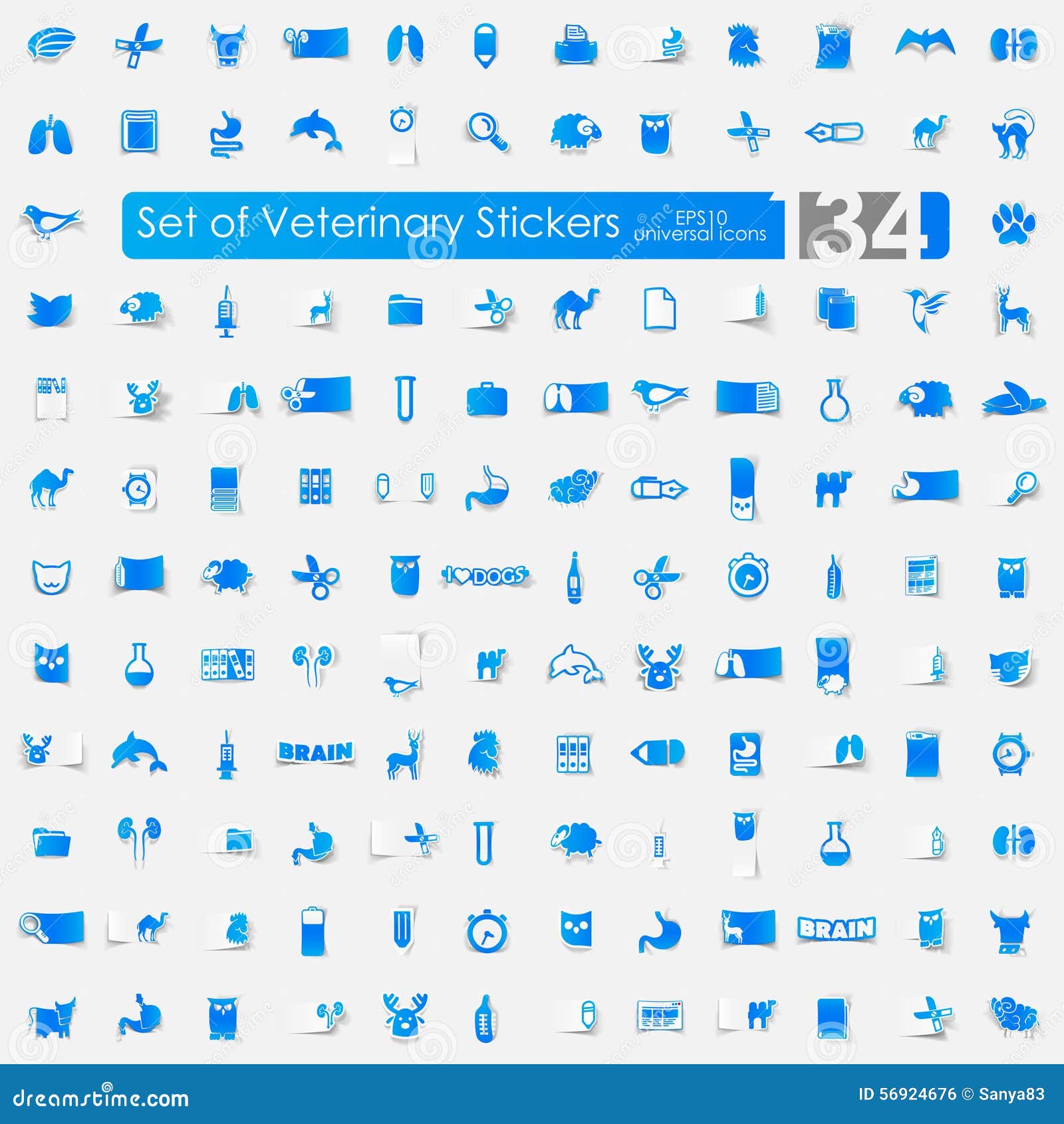 Set of veterinary stickers stock vector. Illustration of color - 56924676