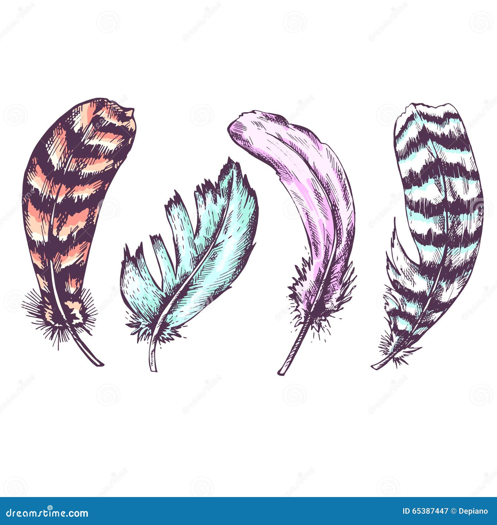 Set of Vintage Feather on White Stock Vector - Illustration of object ...