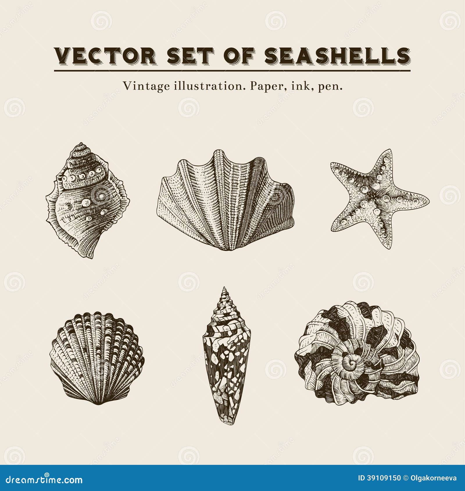 Illustrations Of Sea Shells. Stock Image | CartoonDealer.com #86175403