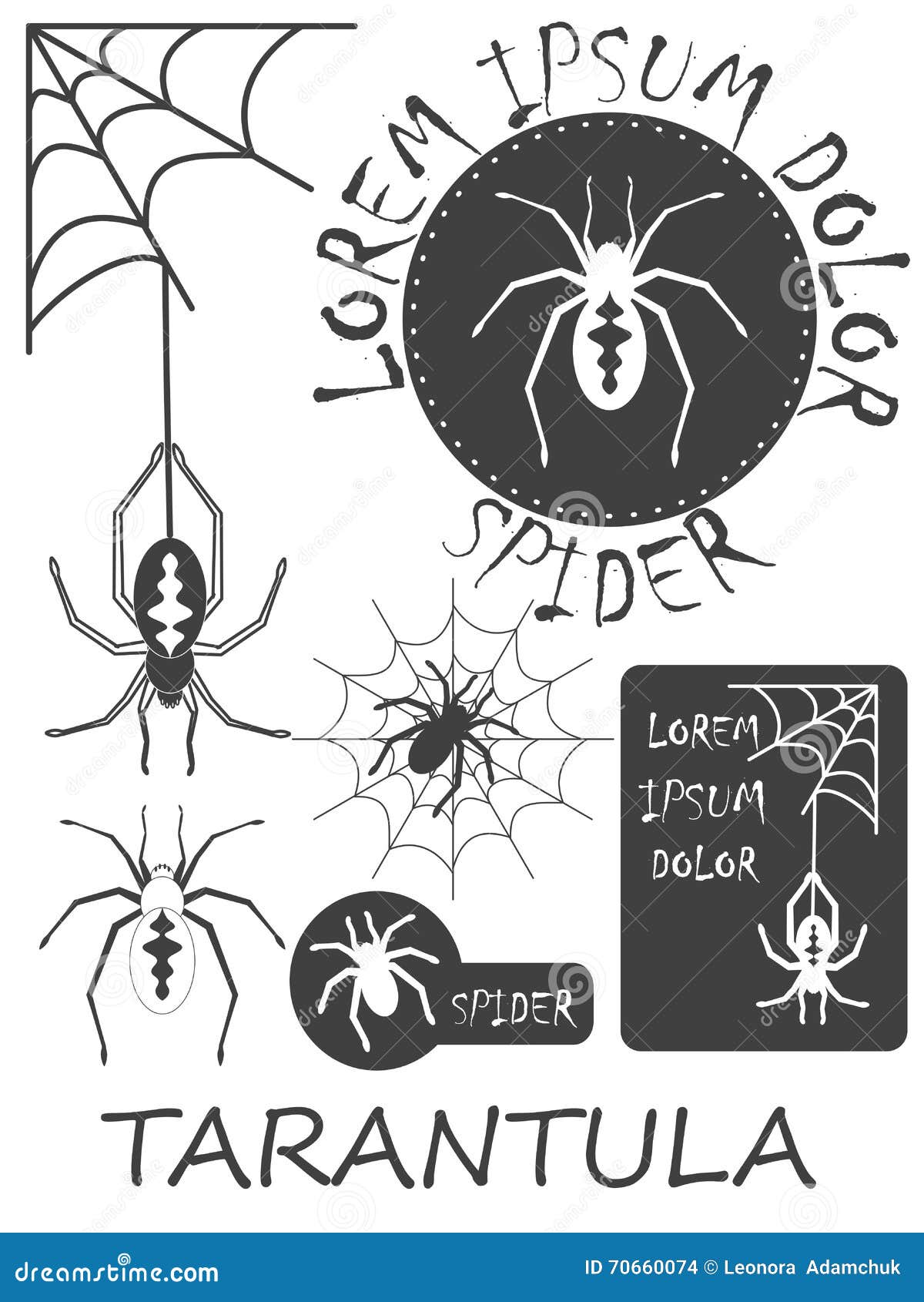Set of Vintage Spider Labels, Badges and Design Elements. Vector Stock ...