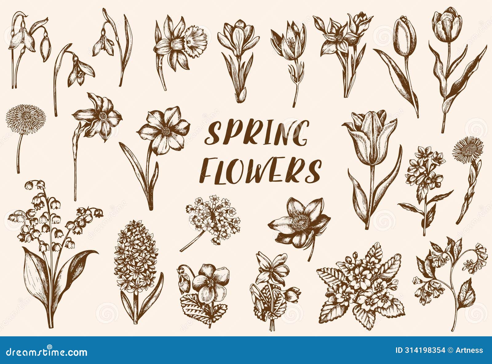 Set of Vintage Spring Flowers Stock Vector - Illustration of design ...