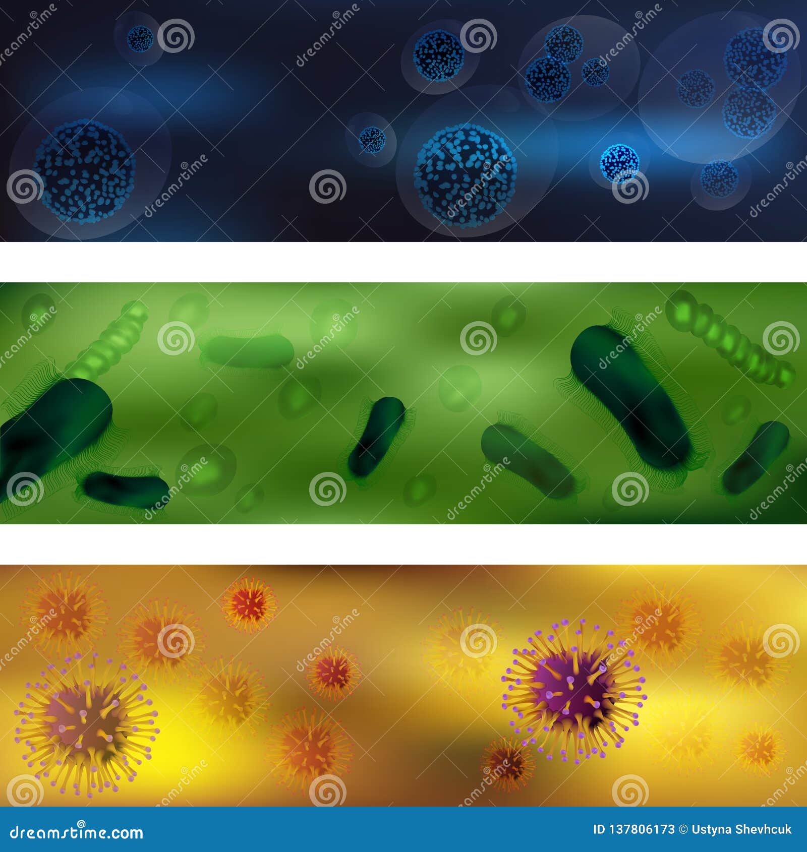 A Set of Viruses and Bacteria. Viruses and Bacteria Under the ...