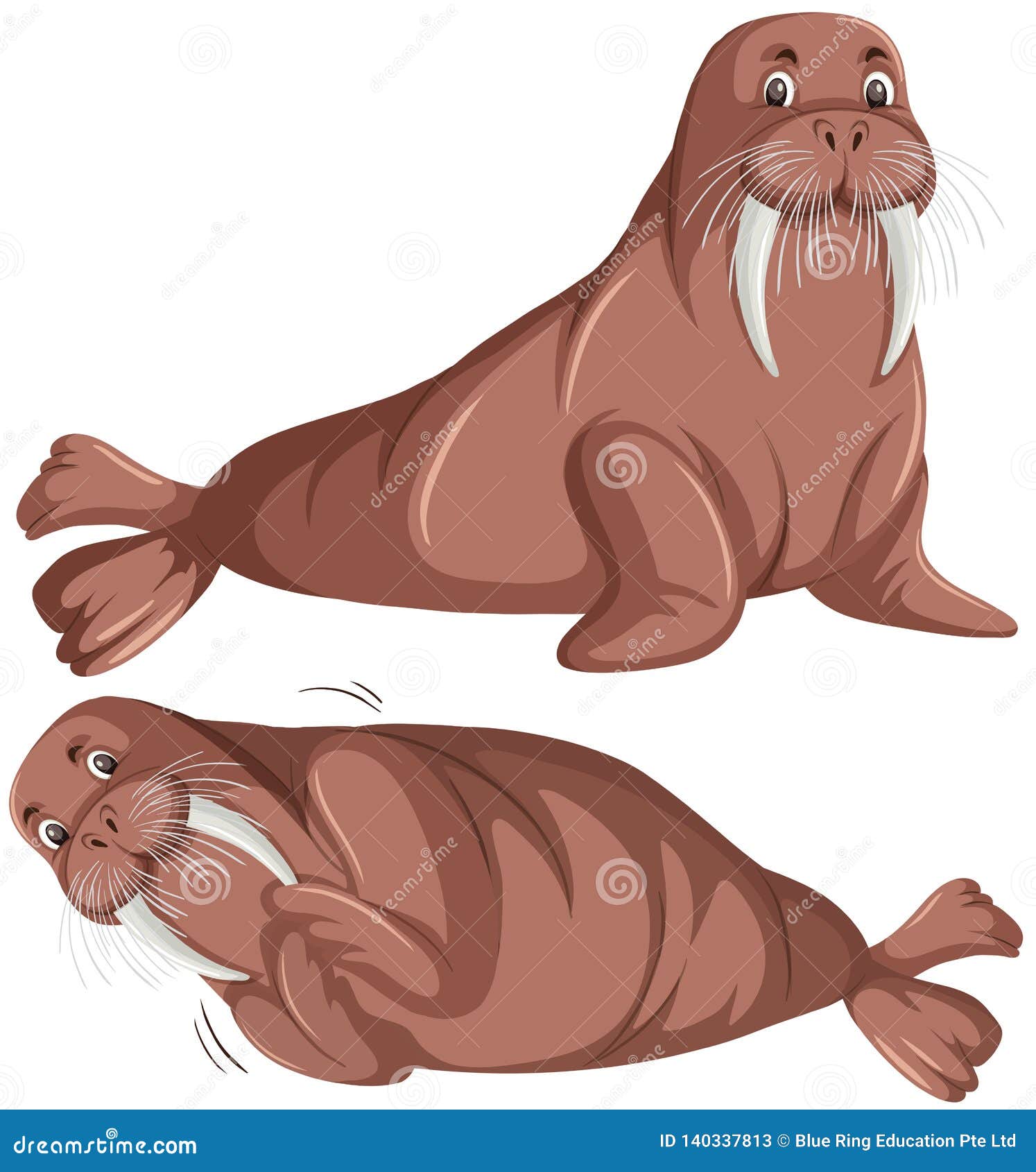 Set of walrus character stock vector. Illustration of character - 140337813
