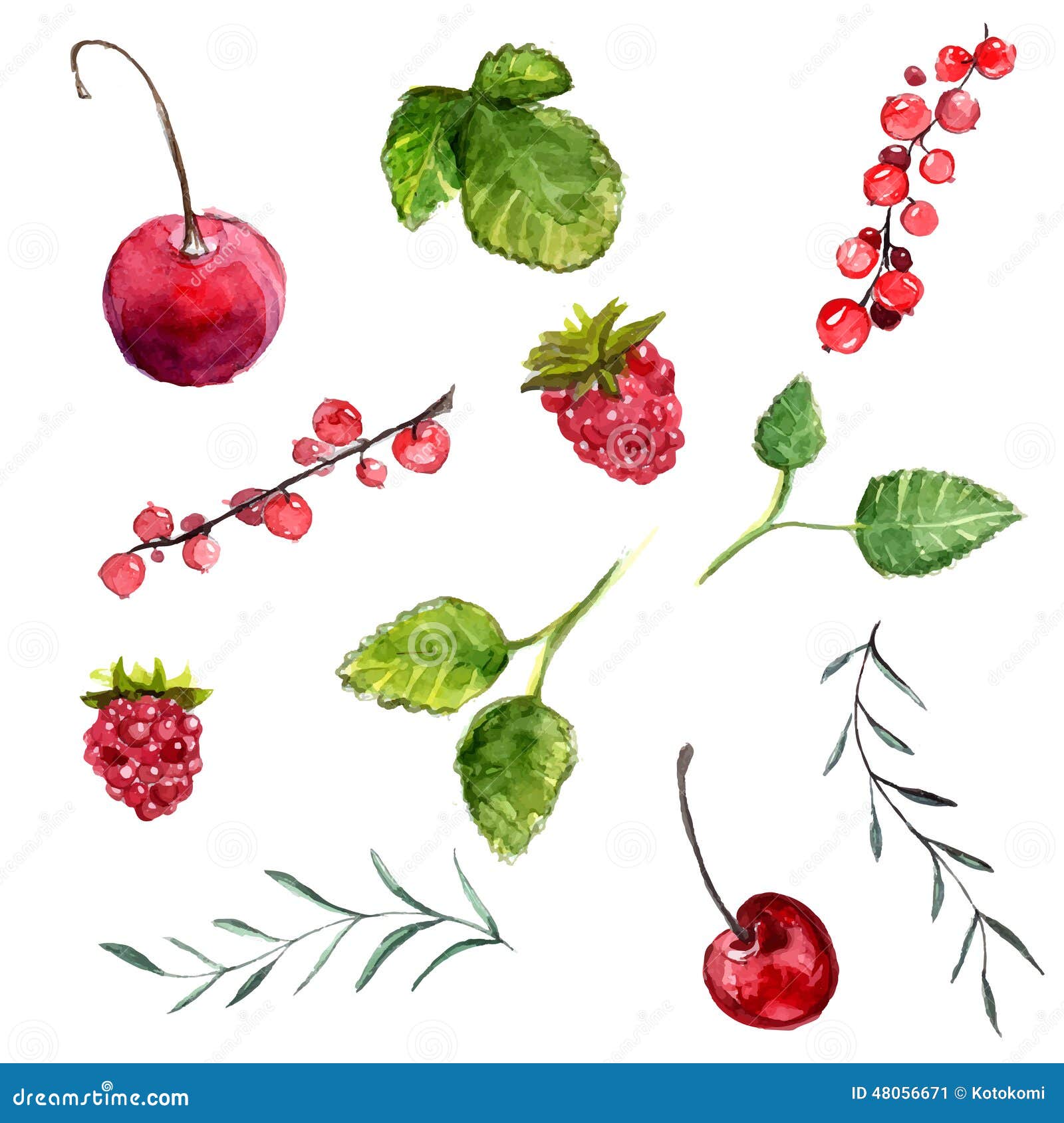 Set of Watercolor Berries Cherry, Red Currant and Raspberry, Leaves of ...