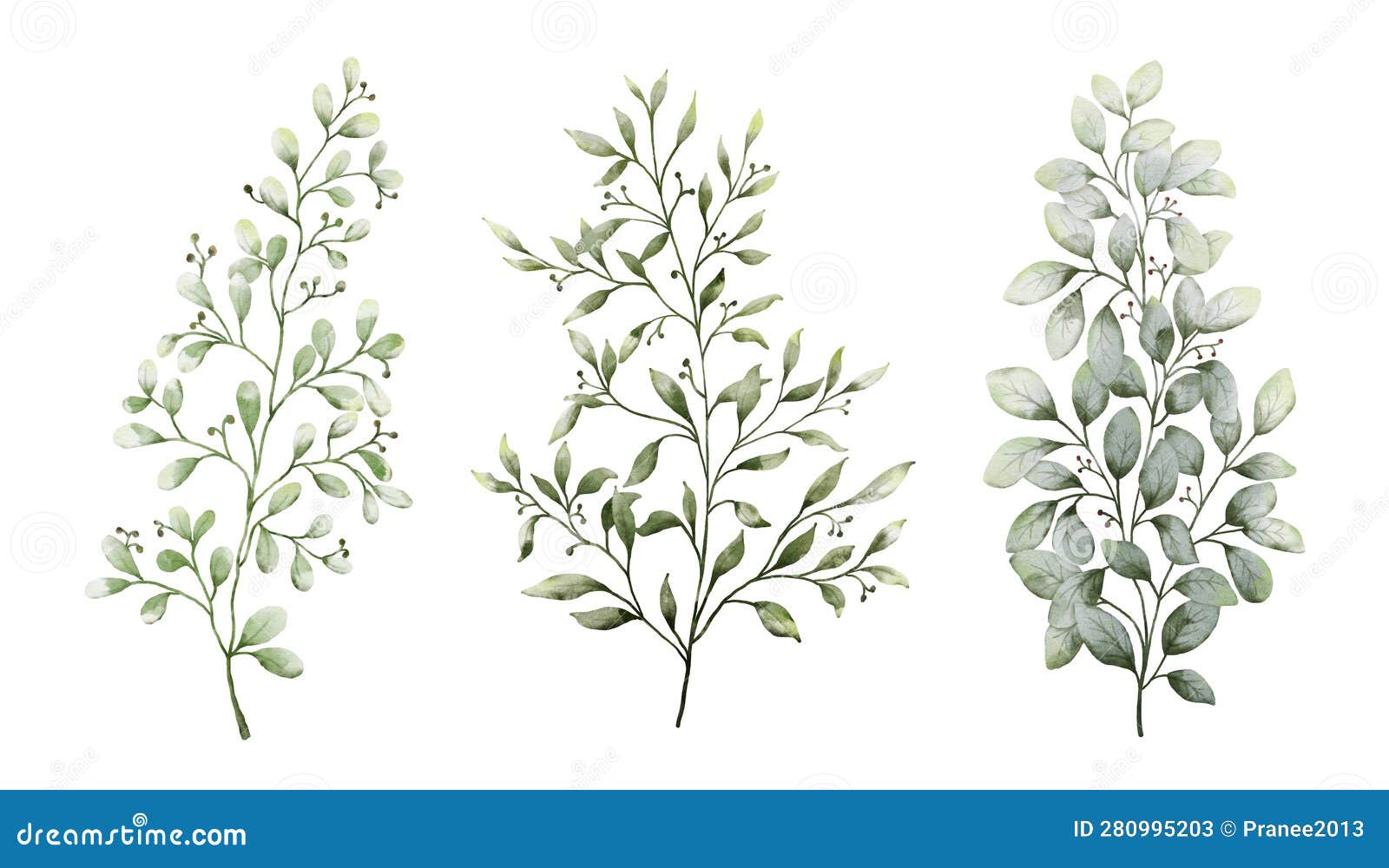 Set of Watercolor Botanical Small Leaves Elements Stock Image - Image ...