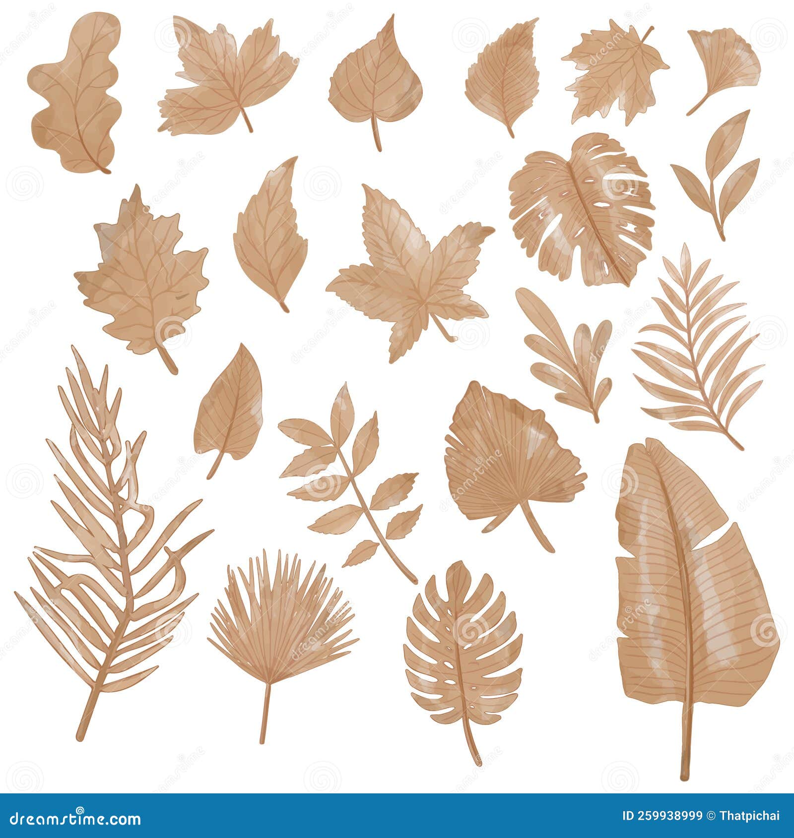 Set of Watercolor Dried Leaf, Branches Clipart. Stock Illustration ...
