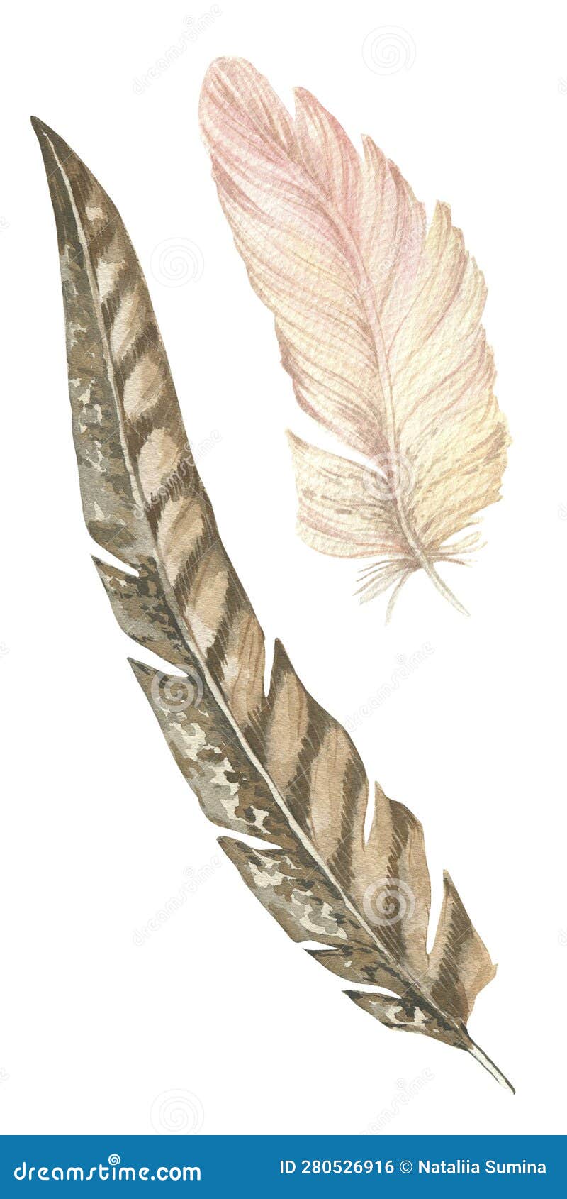 Set of Watercolor Feathers.Hand Drawn Boho Feather Illustration Stock ...