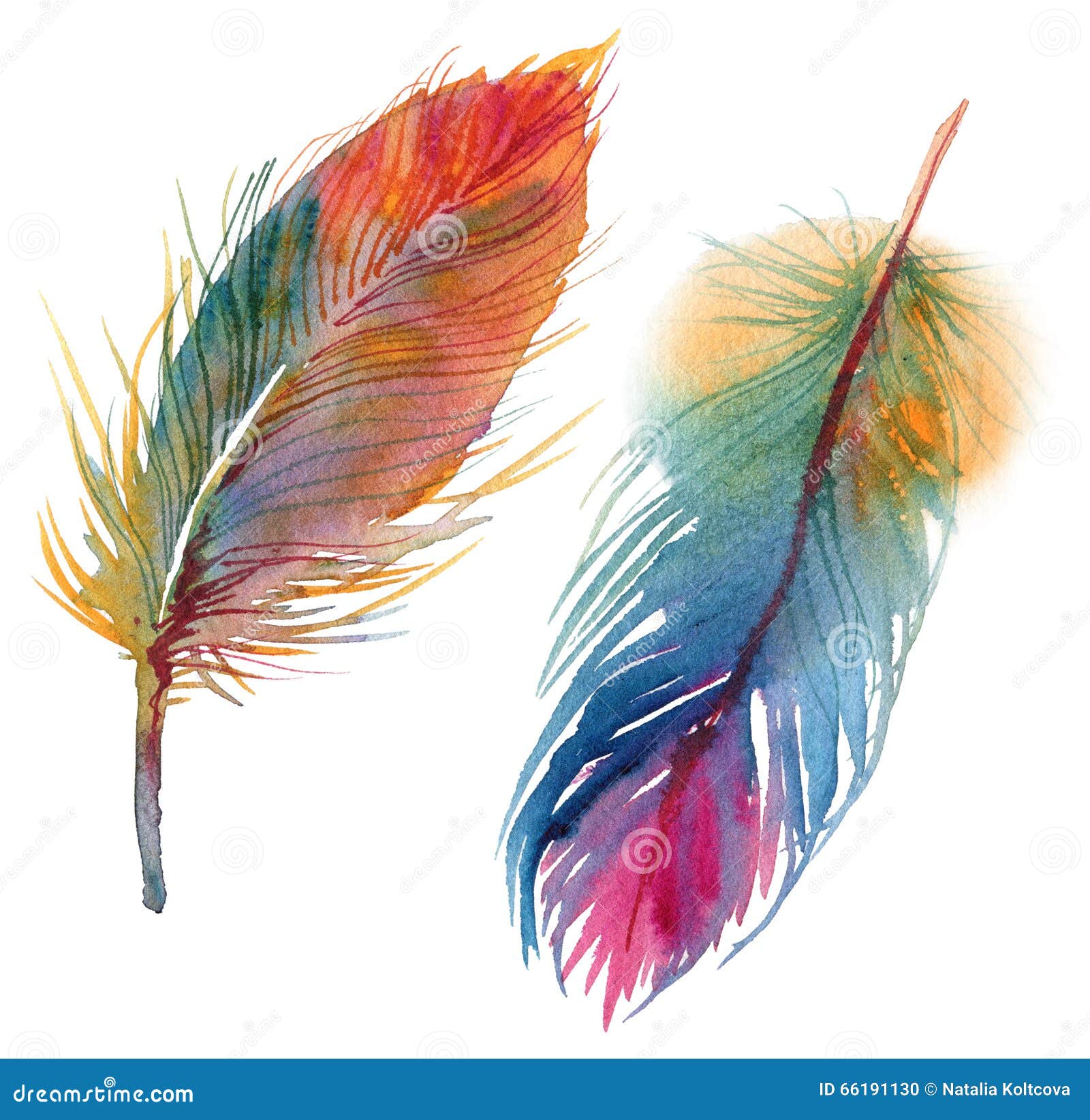 Set of watercolor feathers stock illustration. Illustration of hippie ...
