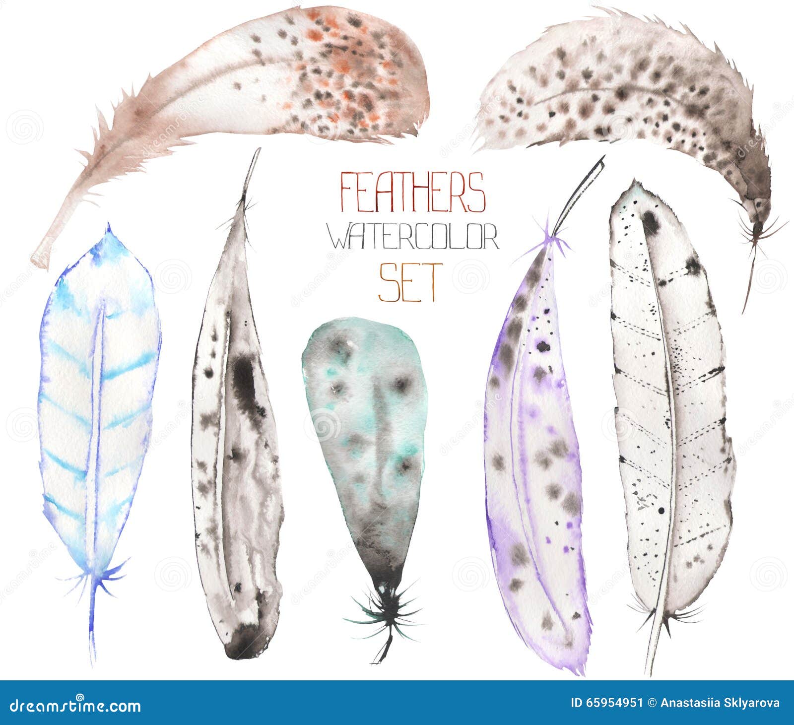 A Set of the Watercolor Feathers on a White Background Stock ...