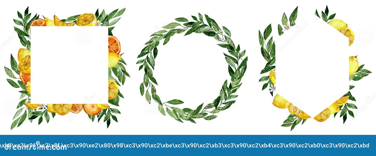 Set of Watercolor Frames with Citrus Fruits. Place for Text. Wedding ...