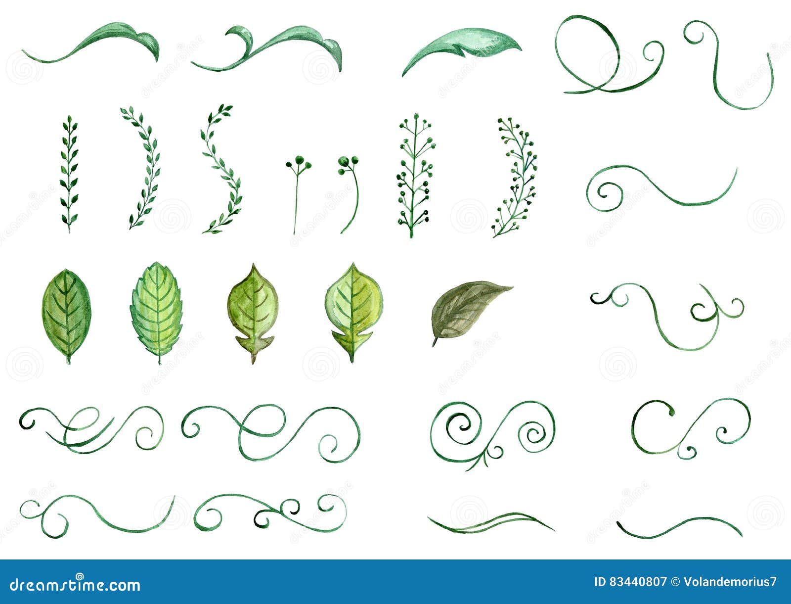 Set of Watercolor Leaves and Curls Stock Illustration - Illustration of ...