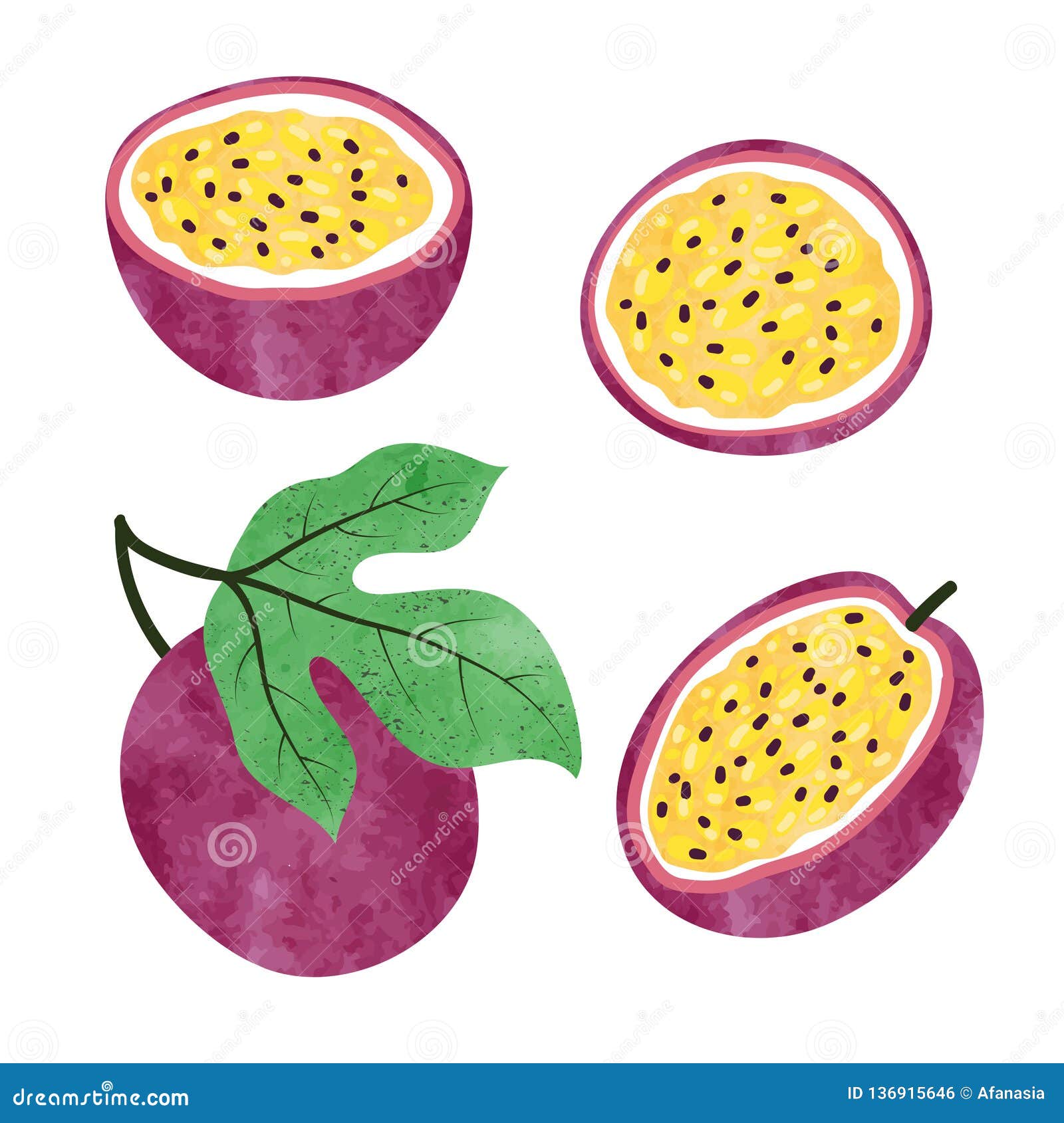 Set Of Watercolor Passion Fruit Isolated On White Stock Vector