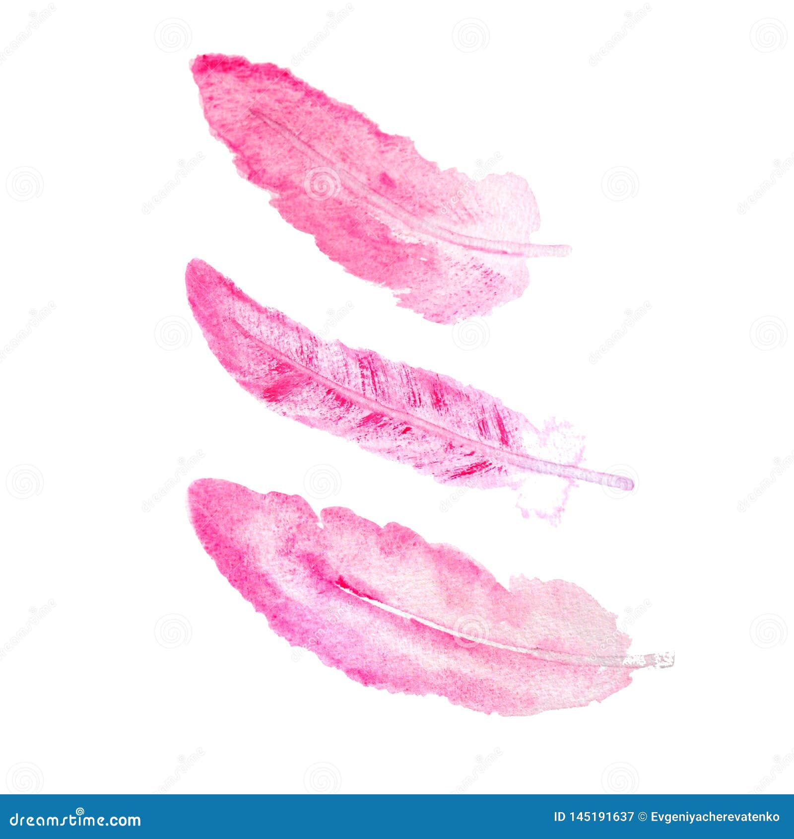 Set of Watercolor Pink Feathers on White Stock Illustration ...