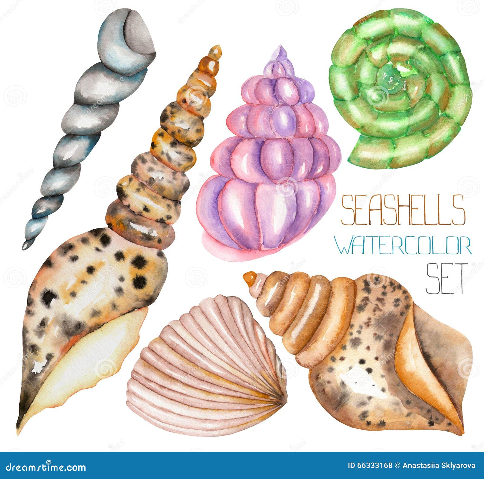 A Set with the Watercolor Shells Stock Illustration - Illustration of ...