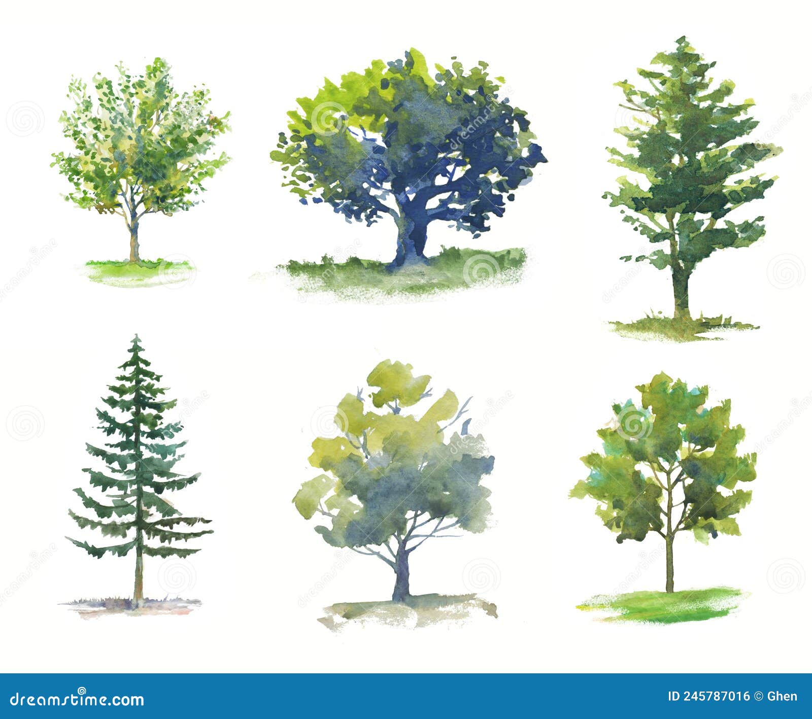 Set Of Watercolor Trees Isolated. Hand Drawn Illustration Of Various ...